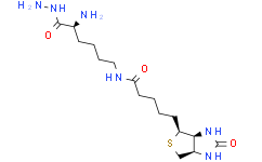 Biocytin Hydrazide|CAS:102743-85-1|Tachizaki Biomedical